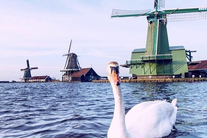 Giethoorn, Private Boat Tour & Zaanse Schans Windmills - FAQ – Practical Questions Answered