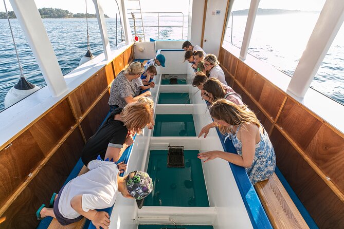 Glass boat tour Faana and panorama National Park Brijuni - Who Will Love This Tour?