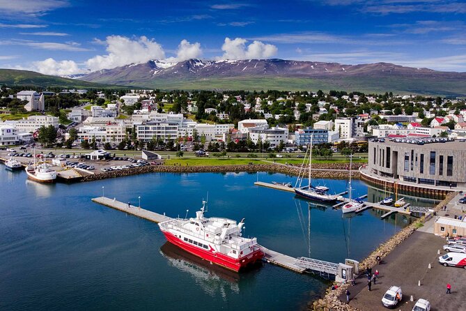 Goðafoss Waterfall & Forest Lagoon from Akureyri Port - Practical Tips for Travelers