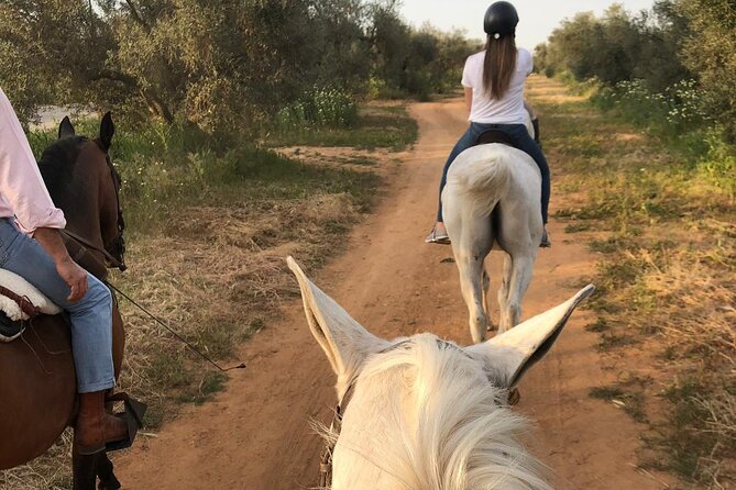 Granada & Sierra Nevada Horse Riding Tour - Final Thoughts
