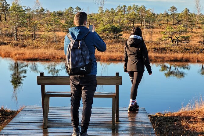 Great emeri Bog and Swamp Forest Hiking Adventure - What’s Included and How to Make the Most of It