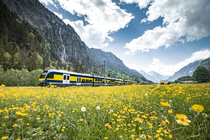 Grindelwald First - Top of Adventure from Zurich - FAQ