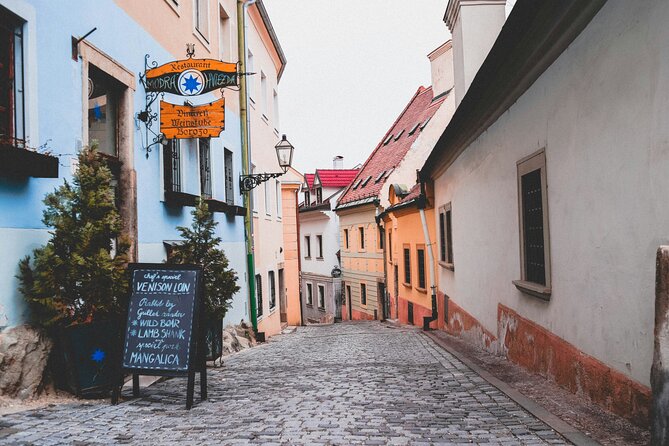 Group Half Day Tour from Vienna to Bratislava with a Local Guide - Final Thoughts: Is This Tour Right for You?