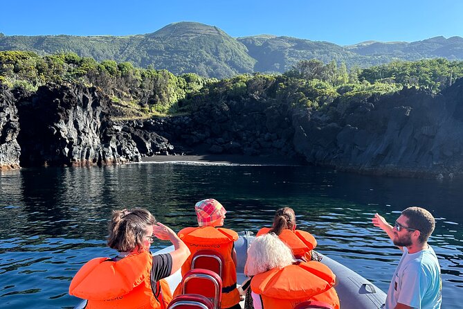 Guided activity in the Heart of Azores with whales and dolphins - The Authenticity and Passion of the Guides