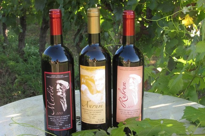 Guided E-Bike Tour with Wine Tasting from Lucca - The Pedal and Sip Experience: Authentic and Enjoyable