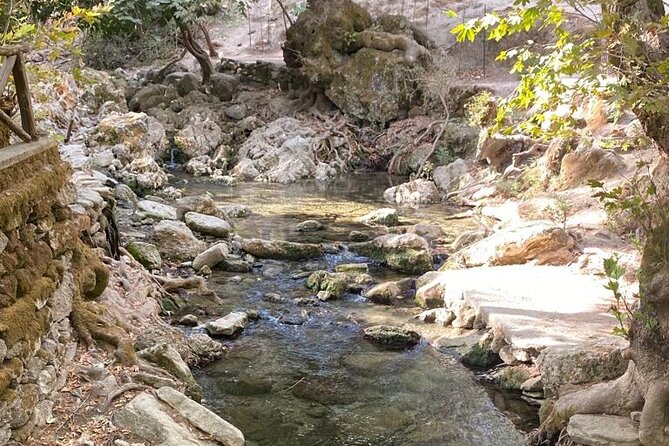 Guided hike to the seven springs from Archangelos - Who Will Appreciate This Experience?