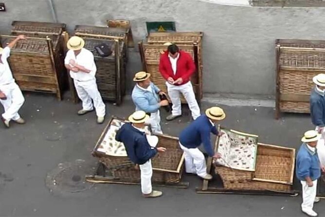 Guided Toboggan Ride and Madeira Wine Tasting Tour - Who Is This Tour Best For?