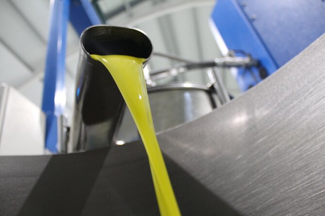 Guided tour and olive oil tasting in Alhaurin el Grande (Málaga) - The Intimate Setting and Family-Friendly Atmosphere