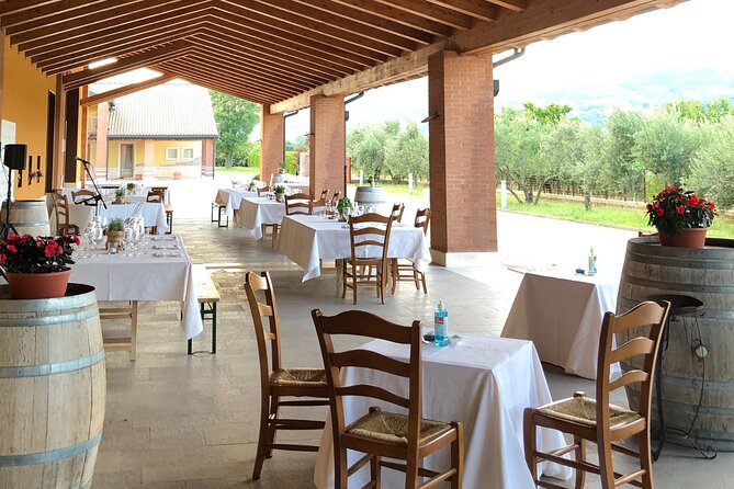 Guided Tour and Wine Tasting in the Sandro De Bruno Winery - Who Will Love This Tour?