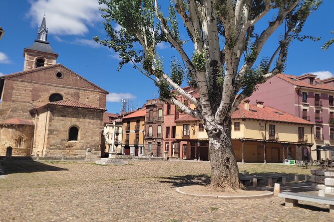 Guided tour in León - What visitors say: authentic opinions