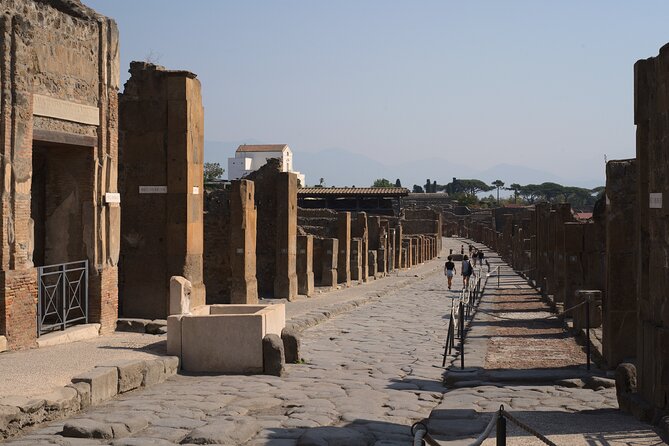 Guided Tour of Pompeii Ruins with Lunch and Wine - Frequently Asked Questions