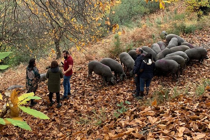 Guided Tour of the Genal Valley - Authentic Experiences and Genuine Insights
