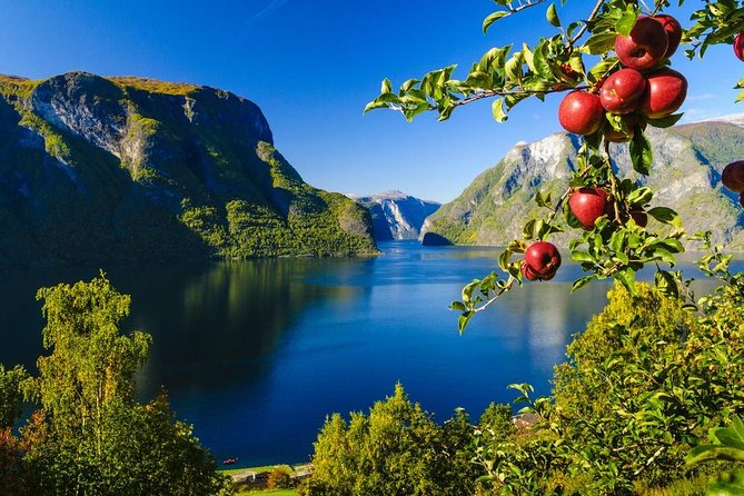 Guided tour - Viking Village, Nærøyfjord Cruise and Flåm Railway - Who Would Enjoy This Tour?