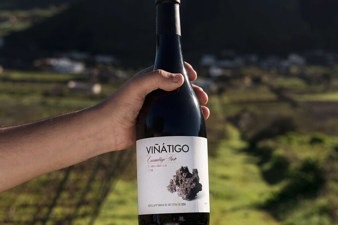 Guided Tour with 6 Wine Tasting - Frequently Asked Questions