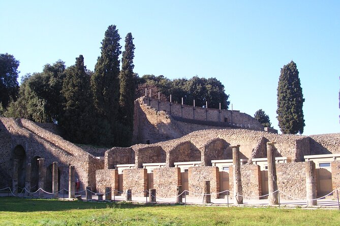 Guided Visit of Pompei and Mount Vesuvius Tour with Pizza Lunch - Climbing Mount Vesuvius: From Pompeii to the Volcano