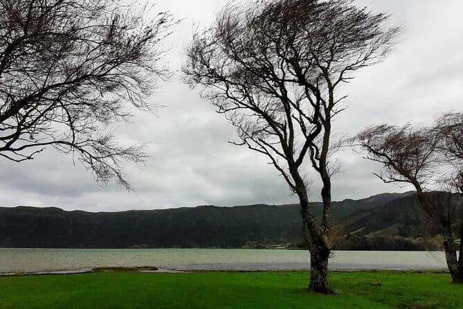 Guided Visit to the Crater and Volcano of Lagoa das Sete Cidades - Tour Experience and Traveler Feedback