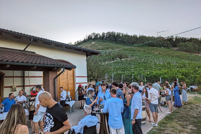 Guided Walk and Lunch in the Vineyard in Alba - Who Will Love This Tour?
