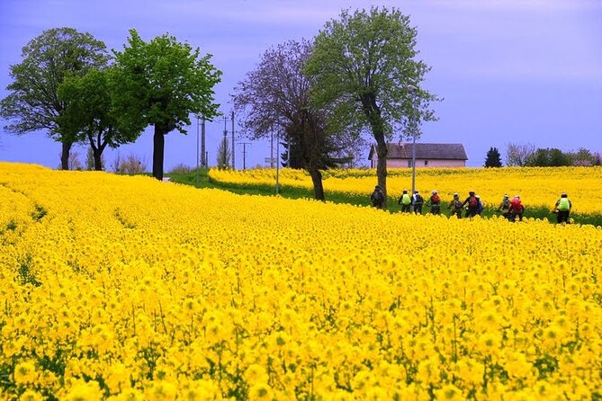 Guided week Bike Tour in France, Burgundy wine region - The Sum Up