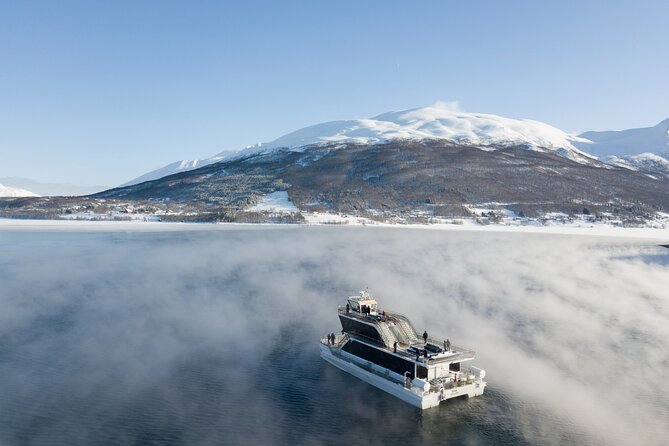Half Day Arctic Fjord Cruise from Tromso - The Bottom Line