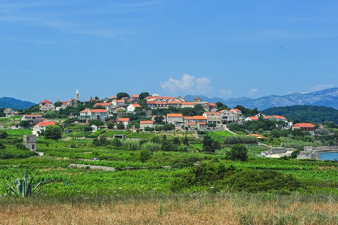 Half-Day Bike Tour in Lumbarda with Wine Tasting - Final Thoughts: Who Will Love This Tour?