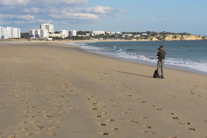 Half-day birdwatching at Alvor dunes - Price and Value