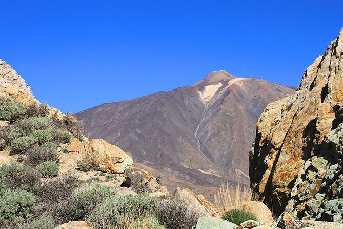 Half-day excursion to Teide National Park - Practical Details and Value