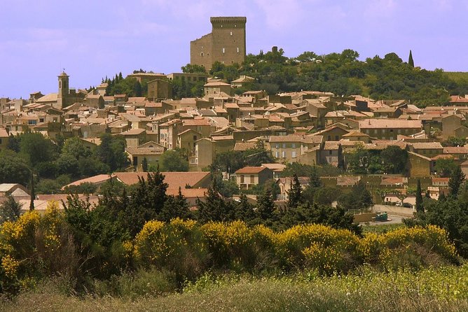 Half Day Great Vineyard Tour from Avignon - The Sum Up: Is It Worth Your Time and Money?