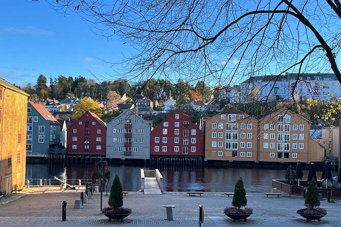 Half-Day Highlights of Trondheim by Bus and City Walk - Who Should Book This Tour?