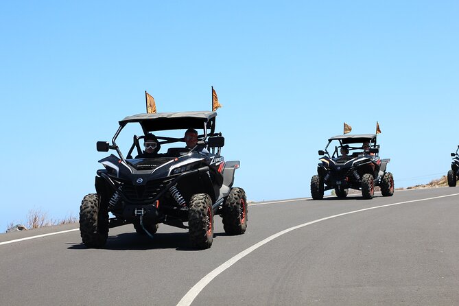 Half Day Morning Buggy Tour in Teide National Park - The Drive: Off-Road Thrills and Practical Details
