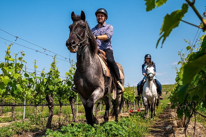 Half-Day of Horseback Adventure with Wine Tasting - What’s Included and What’s Not