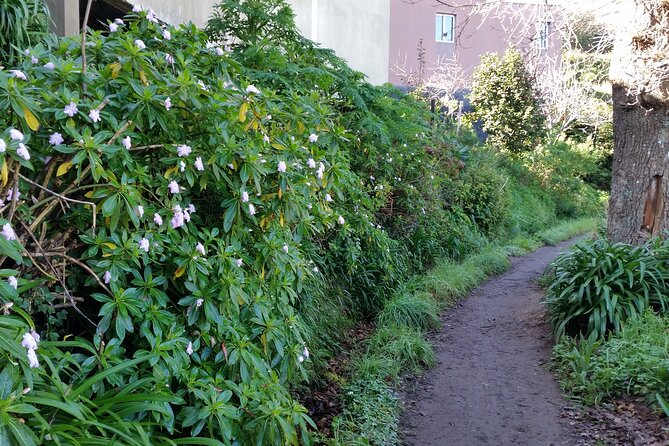 Half-Day Paradise Valley Walking Tour - The Sum Up