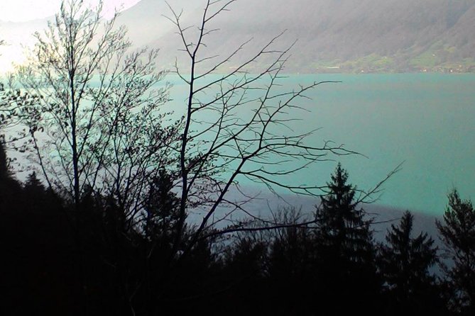 Half-Day Private Giessbach Falls and Lake Brienz from Interlaken - Analyzing the Cost and Value