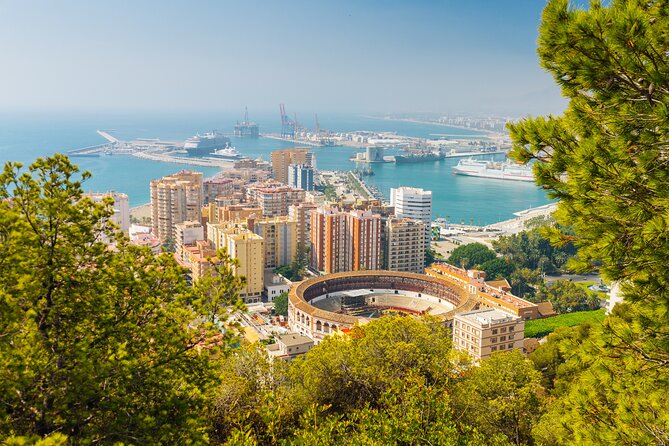 Half-Day Private Taxi Tour to Malaga Historic Center - What Do Travelers Say?