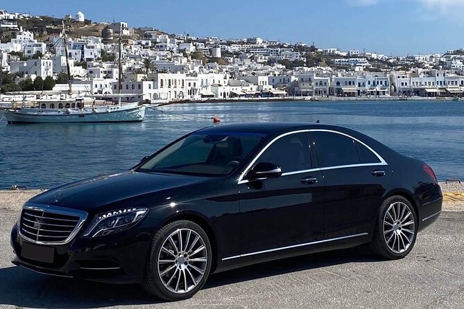Half Day Private Tour in Mykonos Island with Local Experts - Who Will Love This Tour?