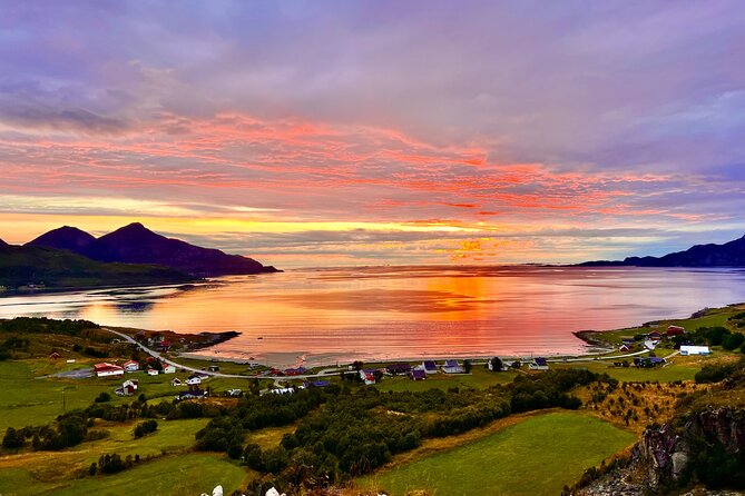 Half-Day Scenic Wildlife & Photographic Fjord Tour. - What Travelers Are Saying