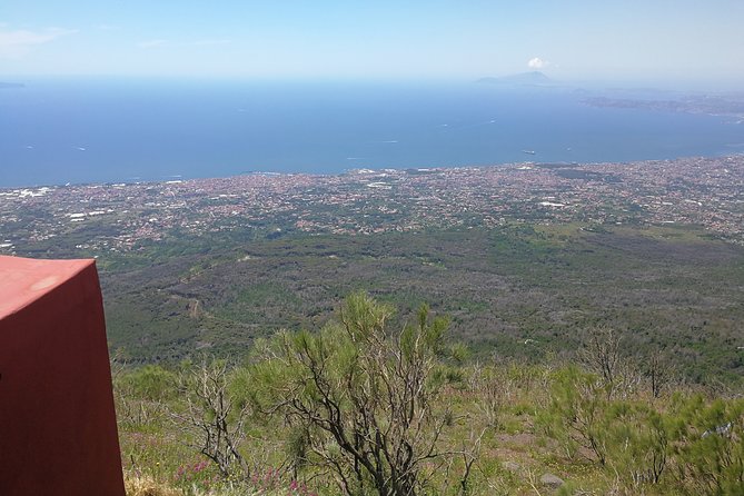 Half day shore excursion to Mount Vesuvius (2 hours) - Analyzing the Value