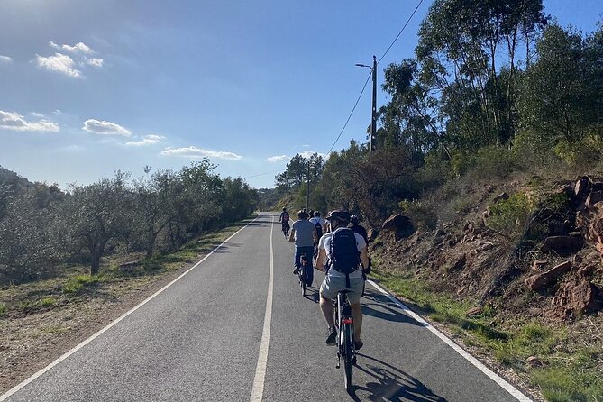 Half-Day Small-Group E-Bike Tour of Rural Algarve with Lunch - Concluding Thoughts: Who Will Love This Tour?