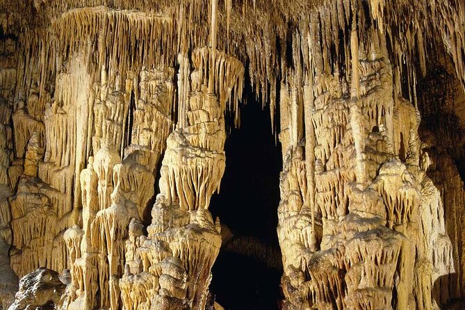 Half Day Tour Bus to the Caves of Drach - Authentic Experiences and Review Insights