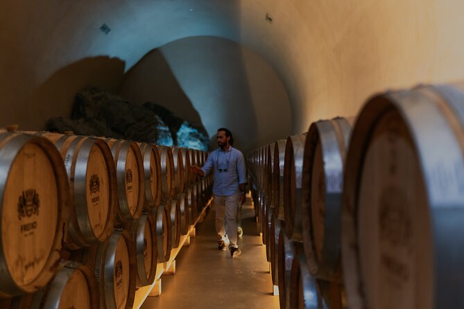 Half Day Wine Tour Around Evora - Who Will Love This Tour?