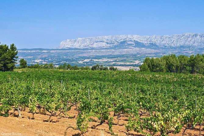 Half day Wine Tour in Côtes de Provence Sainte-Victoire from Aix en Provence - Authentic Experiences & Traveler Feedback