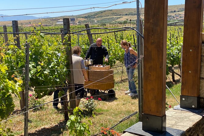 Heraklion Private Half-Day Wine Tasting Tour in Lyrarakis Winery - Ownership of the Experience and Value