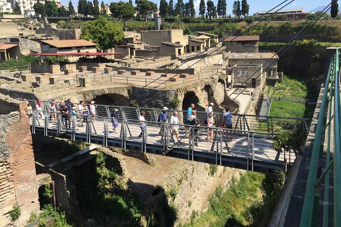 Herculaneum Private Walking Guided Tour 2 hours - What the Reviews Say: Authentic Experiences and Highlights