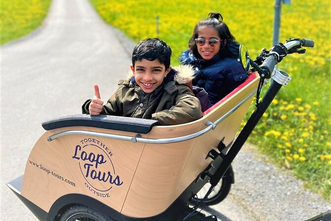 Hidden gems e-bike tour with picnic at Lake Brienz - Who Should Consider This Tour?