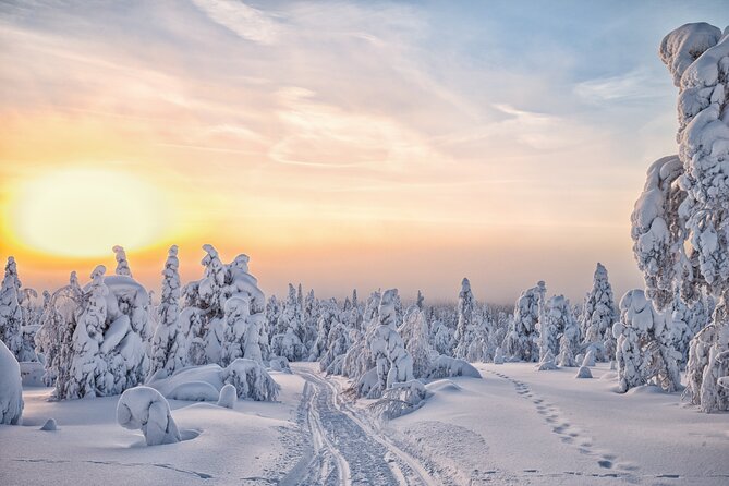 Hike to Frozen Waterfalls of Korouoma Including BBQ Lunch from Rovaniemi - The Sum Up