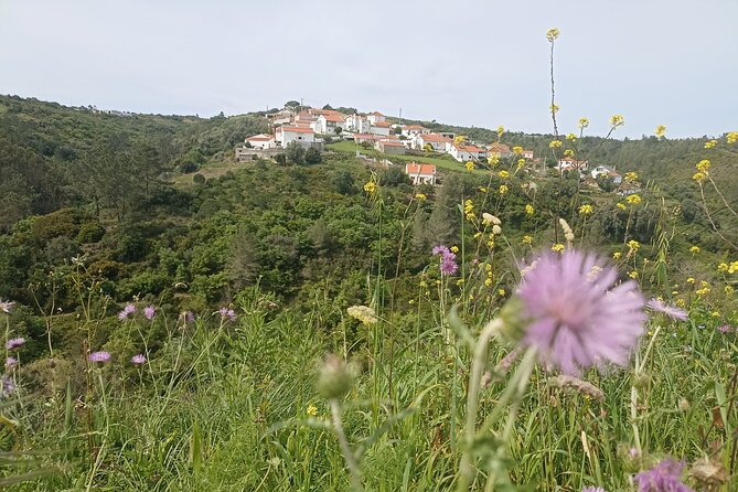 Hike & Wine Ericeira - Who Will Love This Tour?