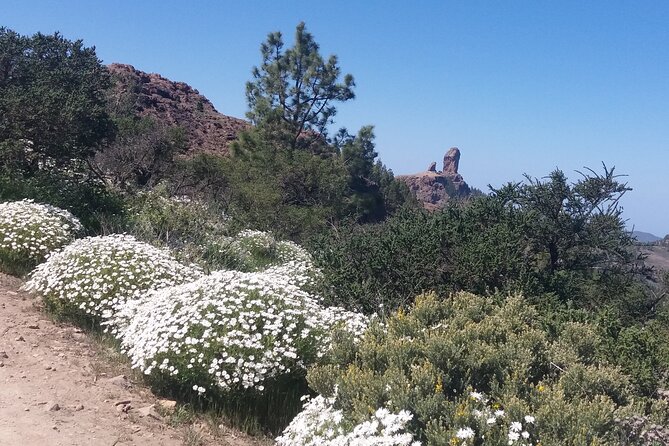 Hikes Roque Nublo - Who Will Love This Tour?