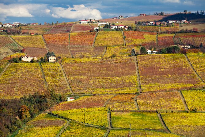 Hiking and wine tour starting from Alba - The Itinerary in Detail