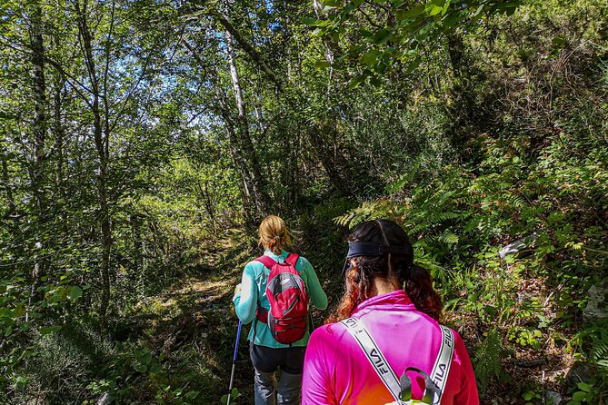 Hiking Experience in Asturias, from Gijón or Oviedo - Authentic Experiences Highlighted in Reviews
