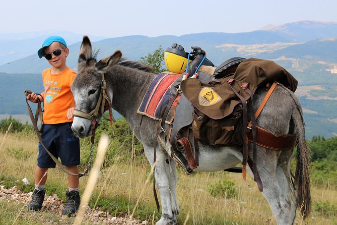 Hiking with donkeys - Frequently Asked Questions
