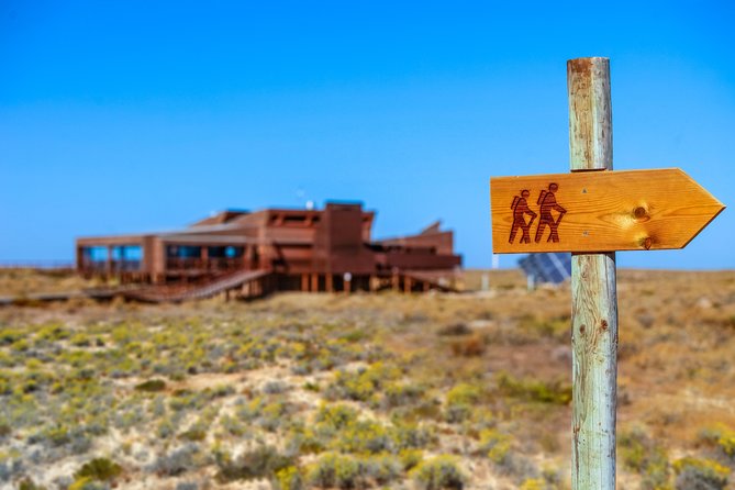 Hop On Hop Off 3 Islands: Deserta, Farol and Culatra - The Sum Up: Is This Tour Worth It?